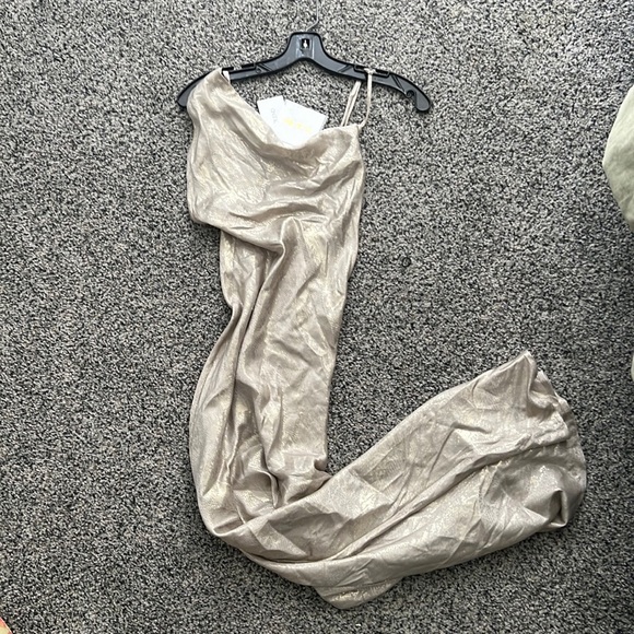 Rat & Boa | Dresses | Rat Boa Xxs Cowl Champagne Maxi Dress | Poshmark